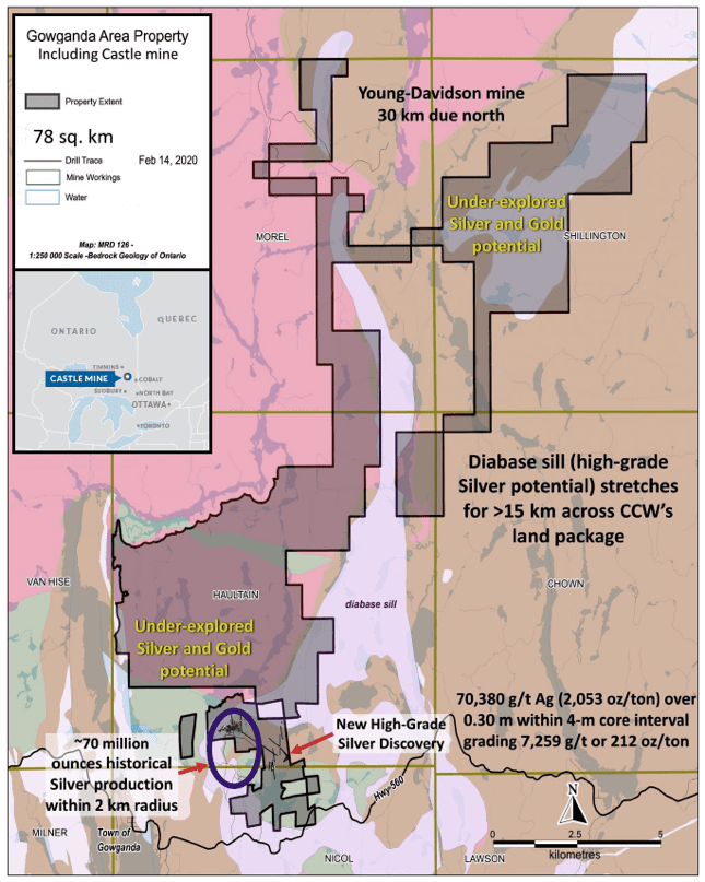 加拿大银钴作品（TSXV：CCW）投资者概述|旅店